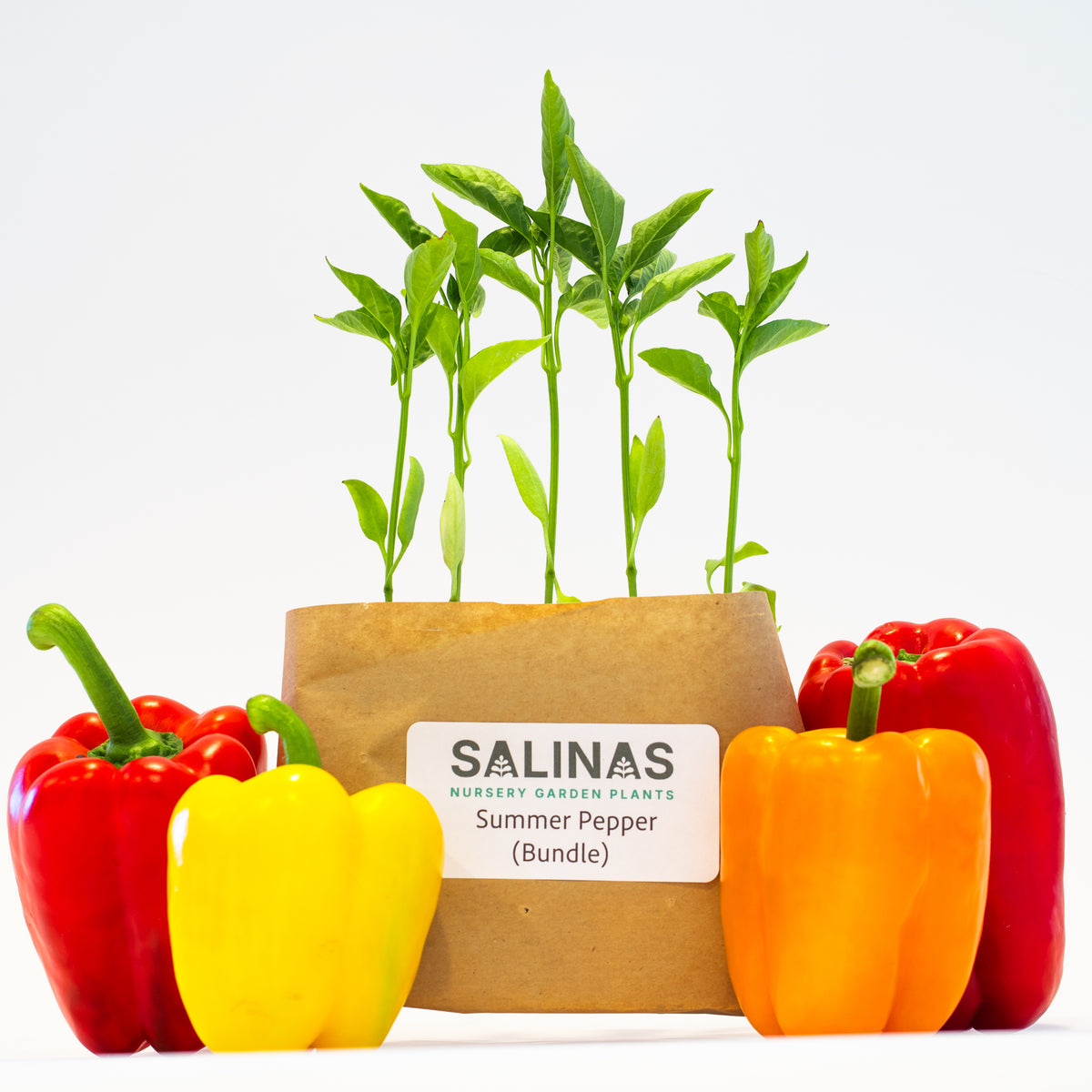 20 Plant Spring Pepper Bundle + 5 Free – Salinas Nursery Garden Plants