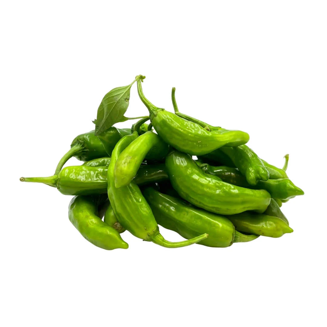 Shishito Pepper Plants – Salinas Nursery Garden Plants