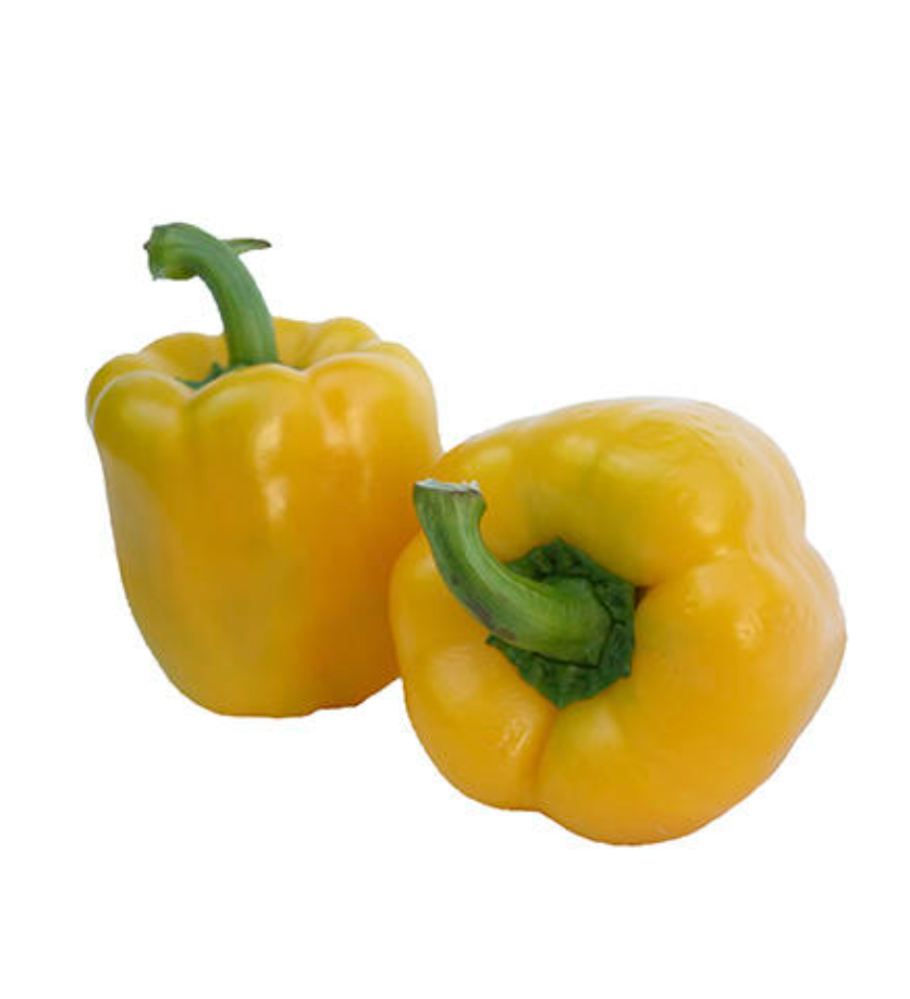 Mecate Bell (Hybrid Yellow) Plants – Salinas Nursery Garden Plants