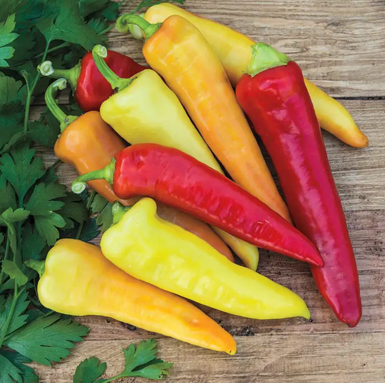Sweet Banana Pepper (Doblon) Plants – Salinas Nursery Garden Plants