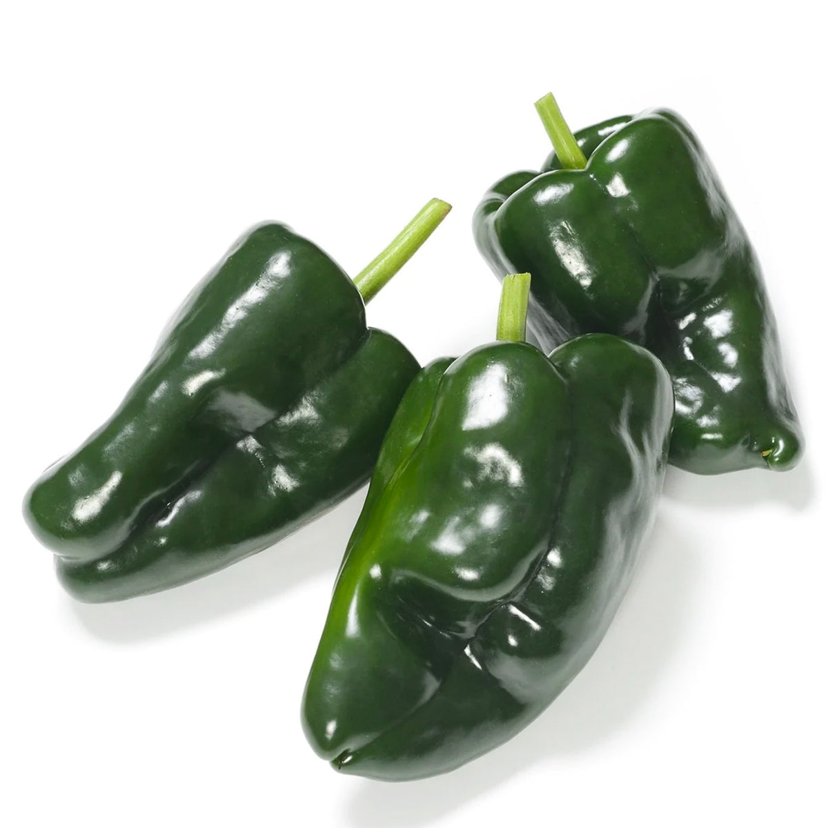 Ancho Pepper Plants – Salinas Nursery Garden Plants