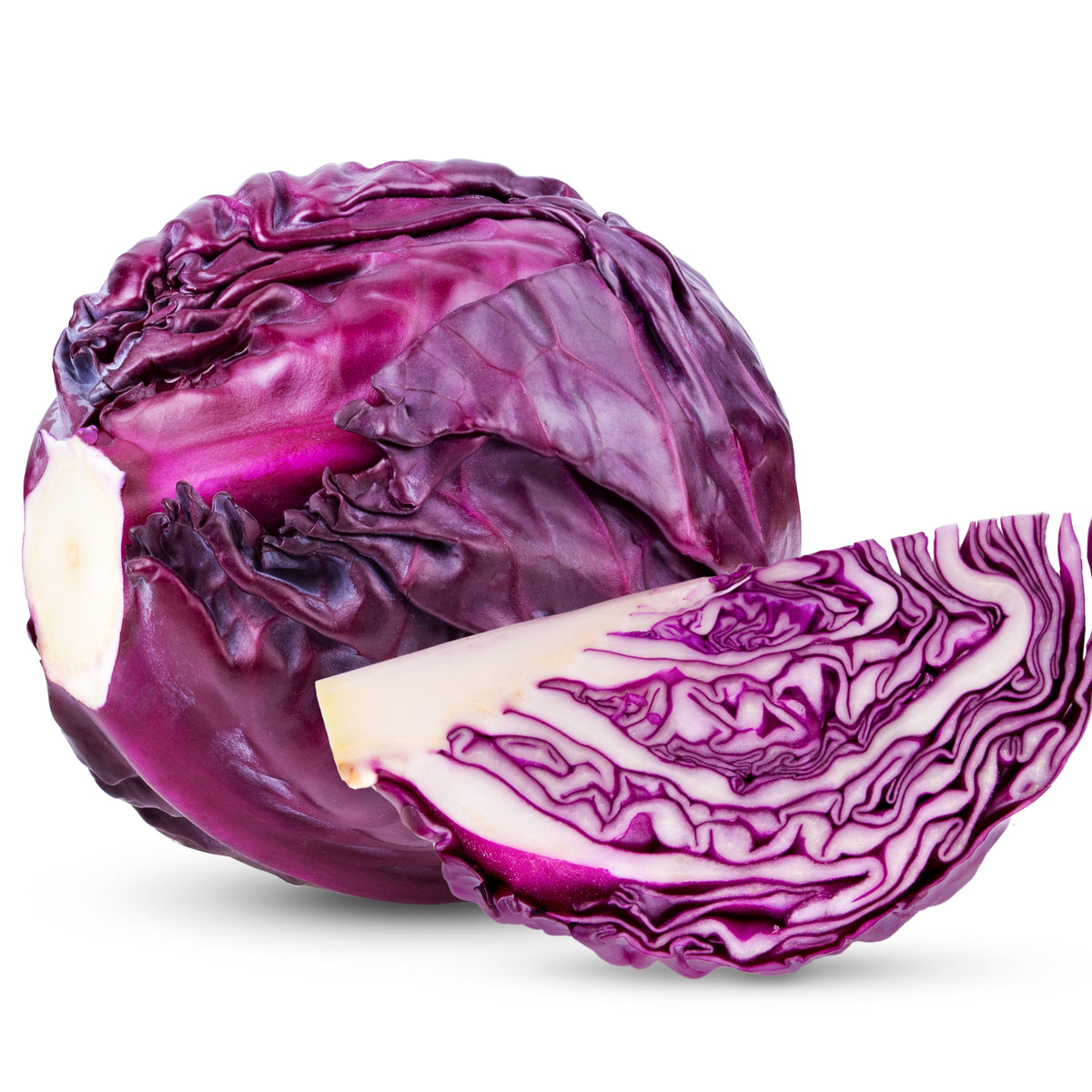 Red Cabbage Plants – Salinas Nursery Garden Plants