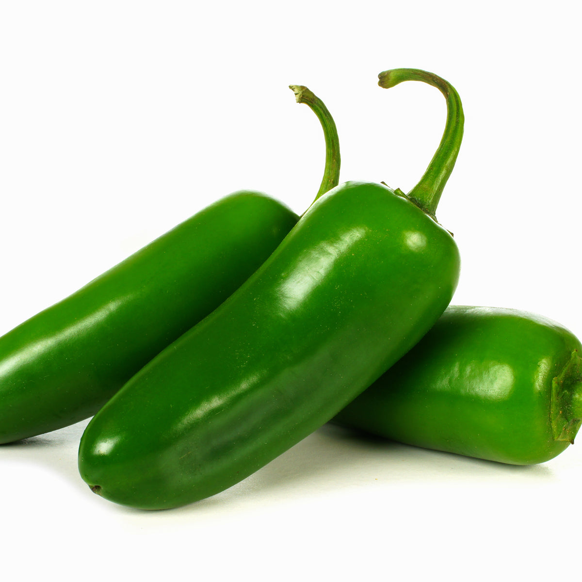 No Heat Jalapeno Pepper Plants – Salinas Nursery Garden Plants
