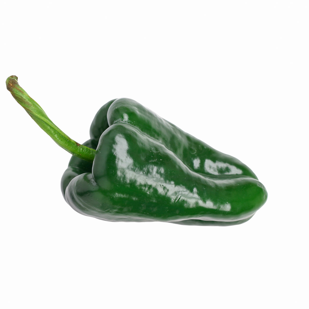 Poblano Pepper Plants – Salinas Nursery Garden Plants
