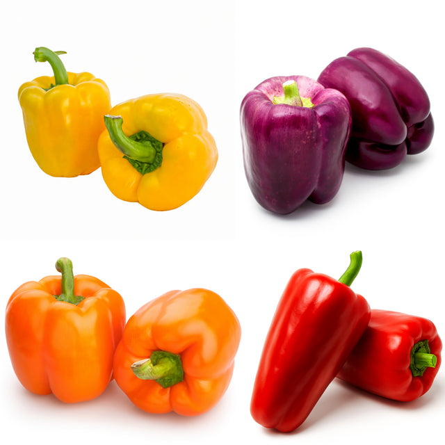 Pepper Plants – Salinas Nursery Garden Plants
